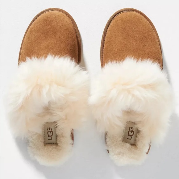 Ugg Shoes Ugg Scuff Sis Chestnut Suede Sheepskin Soft Fluffy Cuff Slide Mule Slippers 5 36